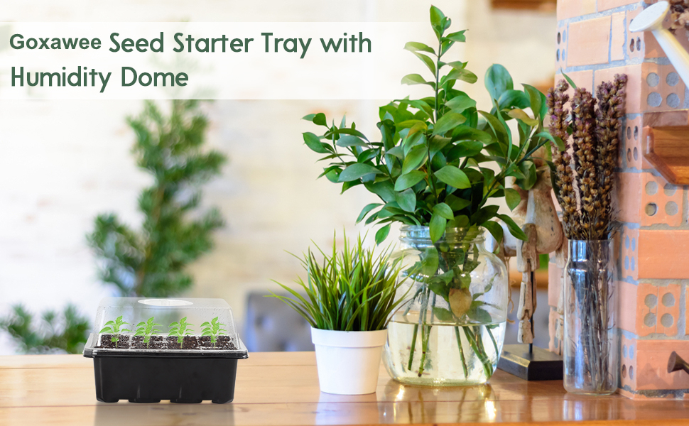 Set 10 cutii pentru rasaduri din polipropilena, GOXAWEE, G5231, 12 ...