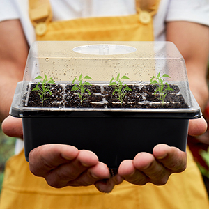 Set 10 cutii pentru rasaduri din polipropilena, GOXAWEE, G5231, 12 ...