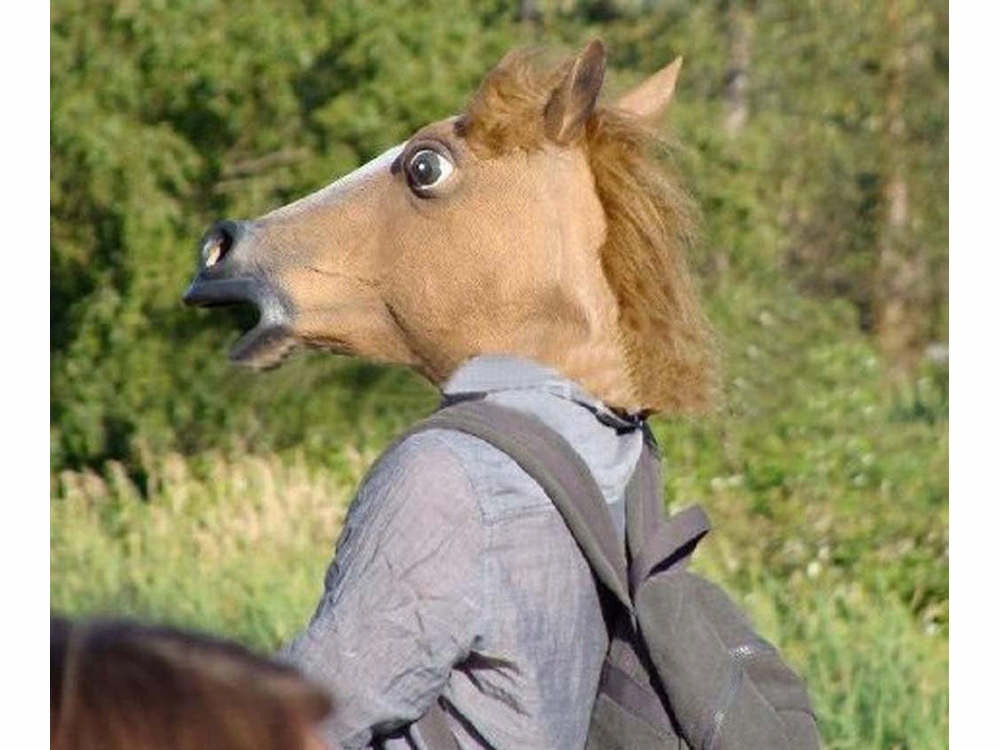 Masca amuzanta din latex, Zola, model cap de cal, realista, 42 x 28 x ...